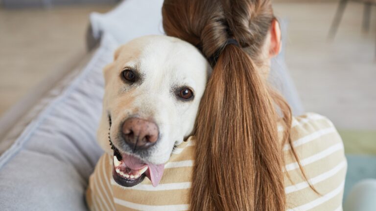 7 Things Labrador Retrievers Love From Their Owners